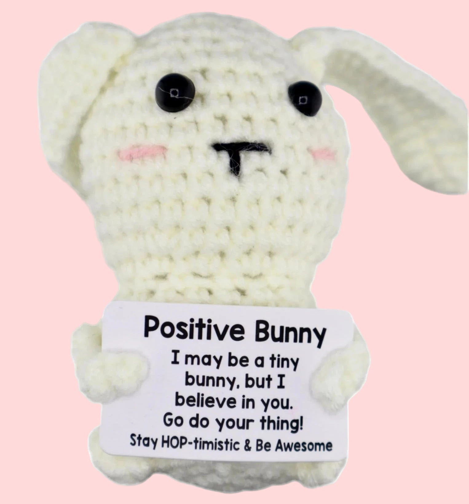 Positive Bunny – More Than Just a Gift | Narborough Hall